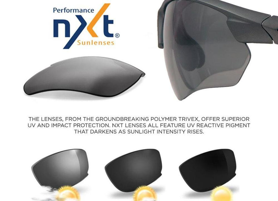 What are NXT Lenses | KoalaEye Optical
